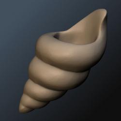seashell wallpaper 3D Models | Page 1 | STLFinder