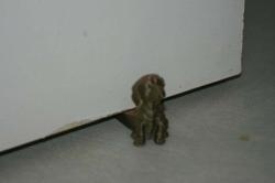 carrier block 3D Models | Page 1 | STLFinder