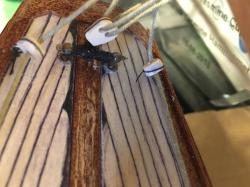 gv models | Page 1 | STLFinder