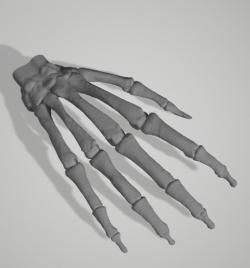 human hand bones 3D Models | Page 1 | STLFinder