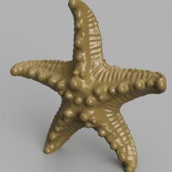 starfish labeled 3D Models | Page 1 | STLFinder