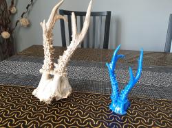 roe 416在线 3D Models | Page 1 | STLFinder