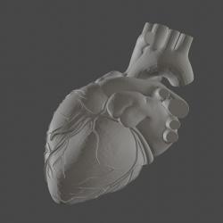 human heart low poly 3D Models | Page 1 | STLFinder