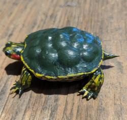 lifelike reborn baby girl doll 3D Models | Page 1 | STLFinder