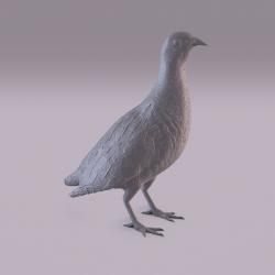 partridge stl file 3D Models | Page 1 | STLFinder
