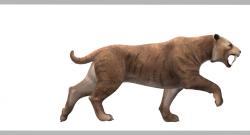 saber toothed tiger 3D Models | Page 1 | STLFinder
