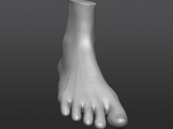 3d foot model | Page 1 | STLFinder