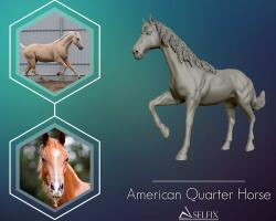 American Quarter Horse 3D Models | Page 1 | STLFinder