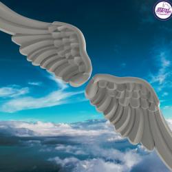 anatomy of angel wings 3D Models | Page 1 | STLFinder