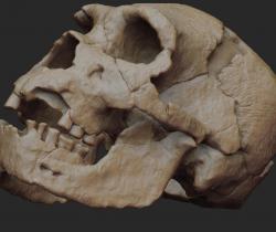 prehistoric human 6cm homo heidelbergensis 3D Models | Page 1 | STLFinder