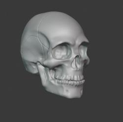 shf skull 2 0 3D Models | Page 1 | STLFinder