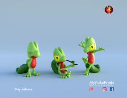 gen 3 grass starter 3D Models | Page 1 | STLFinder