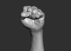 hand fist reference 3D Models | Page 1 | STLFinder