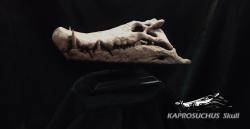 kaprosuchus 3d models 【 STLFinder