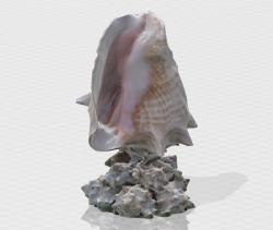 Shell Helix bottle 3D Models | Page 1 | STLFinder