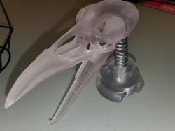 max bird 3D Models | Page 1 | STLFinder