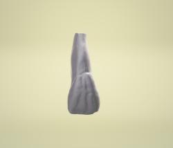 tooth label 3d models 【 STLFinder