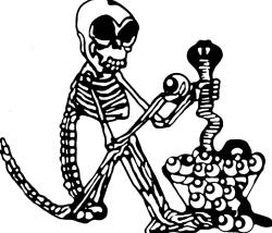 skeleton of monkey 3D Models | Page 1 | STLFinder