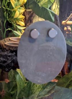 gecko hide 3D Models | Page 1 | STLFinder