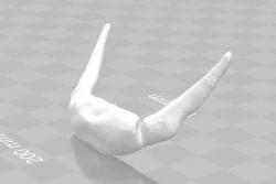 hyoid bone 3D Models | Page 1 | STLFinder