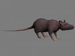 rat attack 3D Models | Page 1 | STLFinder