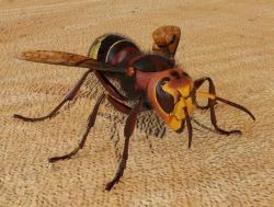 hornet animation 3D Models | Page 1 | STLFinder