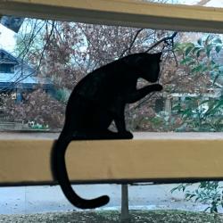 stencil cat silhouettes 3D Models | Page 1 | STLFinder