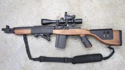 M14 SOCOM Rifle with Red Dot Scope 3D Models | Page 1 | STLFinder