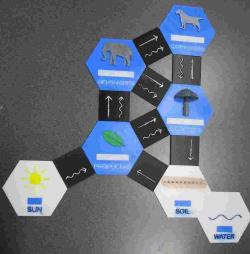 3d food web | Page 1 | STLFinder