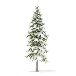 stylized fir tree with snow 3d model free | Page 1 | STLFinder