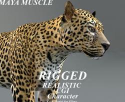 maya muscle 3D Models | Page 1 | STLFinder