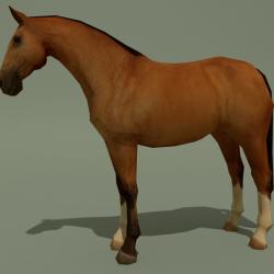 tumbex buckskin corrall 3D Models | Page 1 | STLFinder