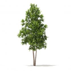 2026 river birch blue prints 3D Models | Page 1 | STLFinder