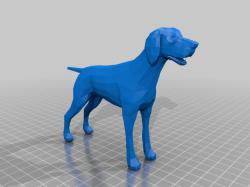 german shorthaired pointer skeleton 3D Models | Page 1 | STLFinder