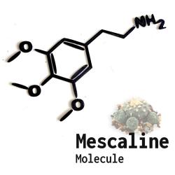 mescaline molecule 3D Models | Page 1 | STLFinder