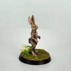 dnd rabbitfolk 3D Models | Page 1 | STLFinder