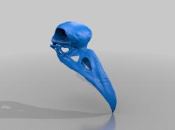 bird skull mask 3D Models | Page 1 | STLFinder