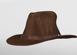 felt cowboy hat model unity | Page 1 | STLFinder