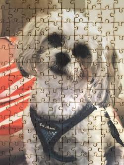 customized jigsaw puzzle with own pictures 3D Models | Page 1 | STLFinder