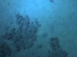 1 3D Scan Prize Challenger Deep Marianas Trench 3D Models | Page 1 ...