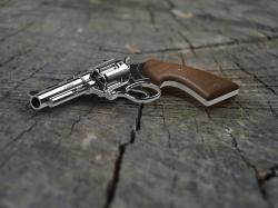 357 python magnum 3D Models | Page 1 | STLFinder