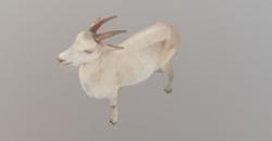 live 3d model 【 STLFinder