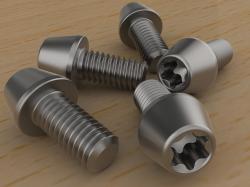 Torx Conical Headed T25 M5x10 Screw 3d models 【 STLFinder