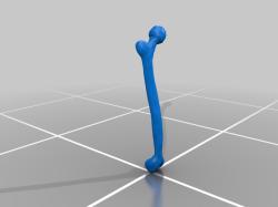 human femur 3D Models | Page 1 | STLFinder