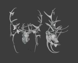 deer trophy valheim 3D Models | Page 1 | STLFinder