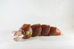 monster rancher plant 3D Models | Page 1 | STLFinder