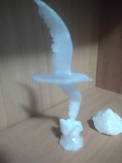 seagull models product line | Page 1 | STLFinder