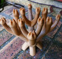 concor tree 3D Models | Page 1 | STLFinder