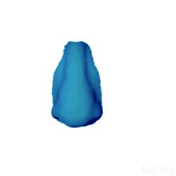 nose model | Page 1 | STLFinder