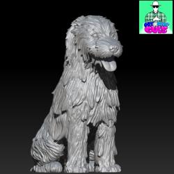 hairy scrotom 3D Models | Page 1 | STLFinder